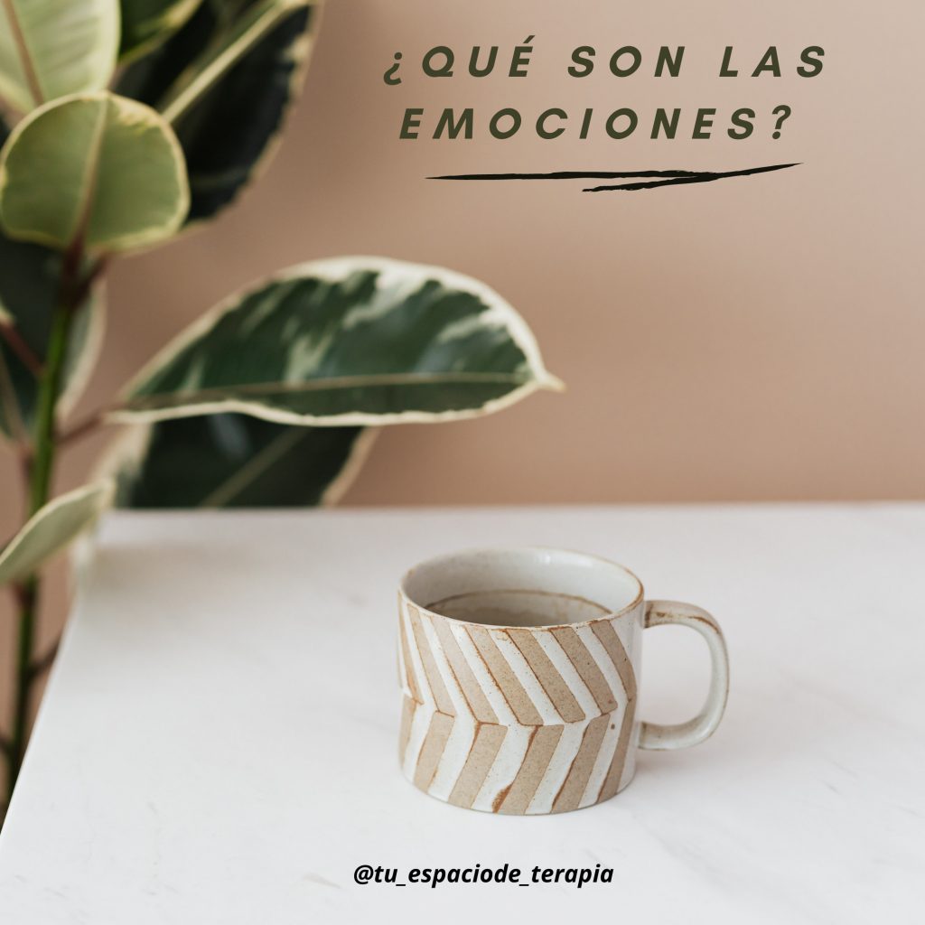 Las 5 claves para saber 🤔, ¿Qué son las emociones?